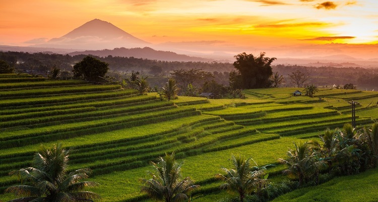 Bali Weather in September 2026: Temperature and Best Places to Go
