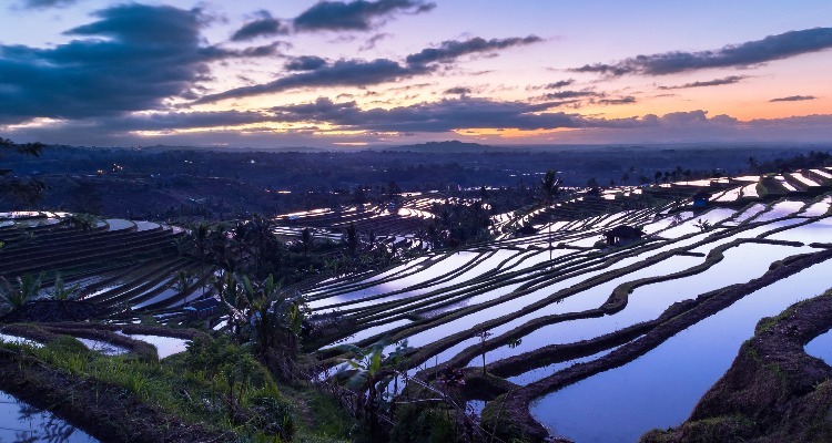 Bali Weather in November 2025: Temperature and Best Places to Go
