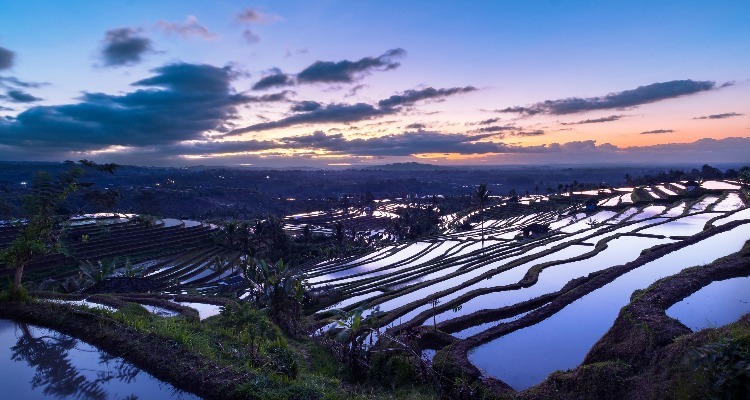 Bali Weather in April 2026: Best Places to Go & Travel Tips