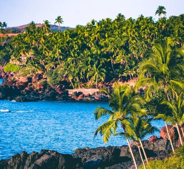 Best (and Worst) Times to Visit Goa & Rainy Season