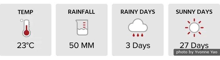 Weather in India in November 2026 & Tips for First Visits