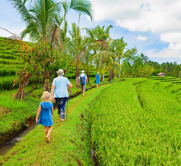 Bali Weather in November 2025: Temperature and Best Places to Go