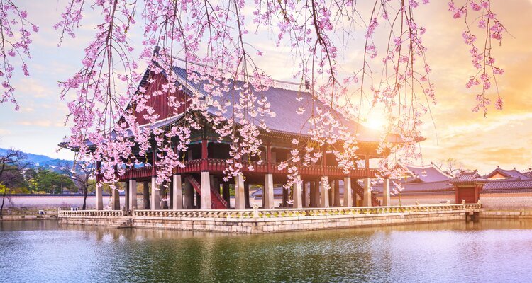 South Korea Weather in April 2026: Travel Tips for First-Timers